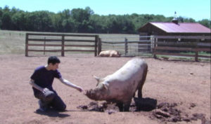 Who is filmmaker Mark Devries? - OFFICIAL WEBSITE